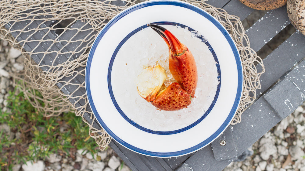 A Complete Guide to the Most Delicious Types of Crabs – George Stone Crab